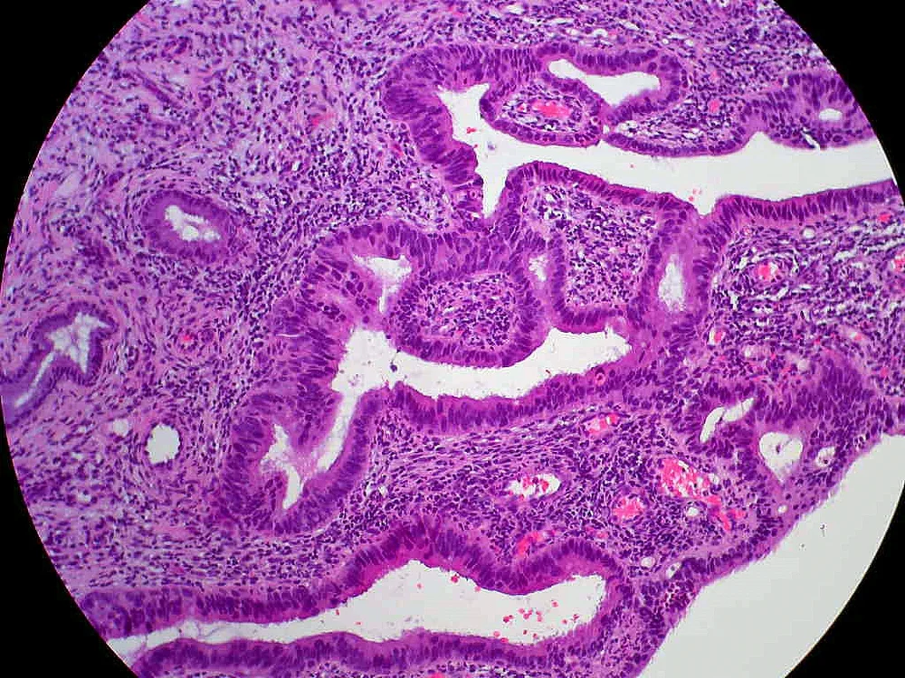 Doctors Pathology Services