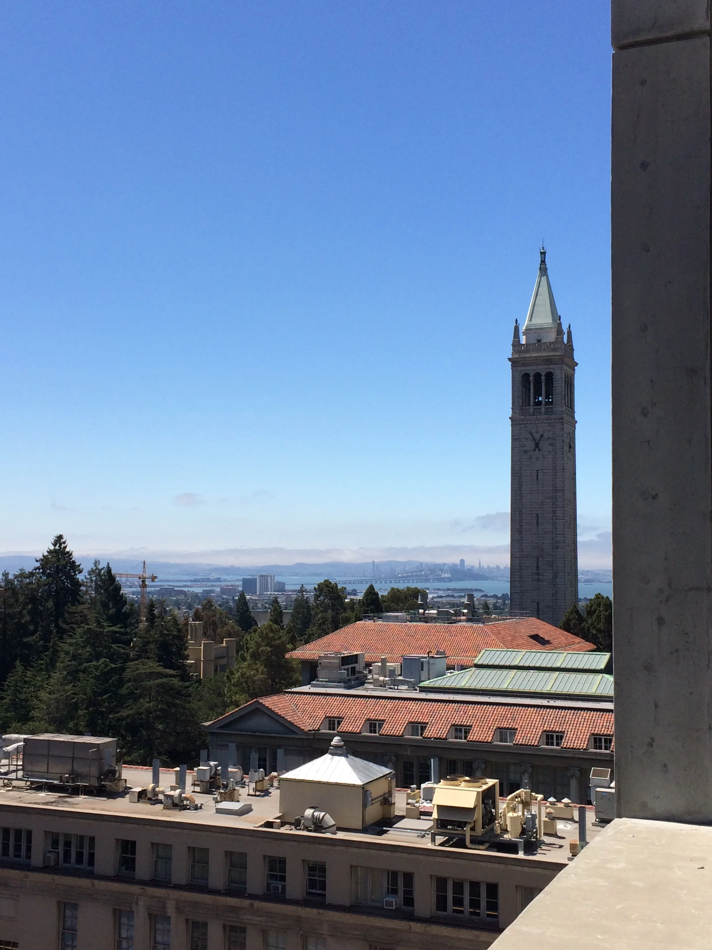 Explore Berkeley like a Local — The Adventure Beckons