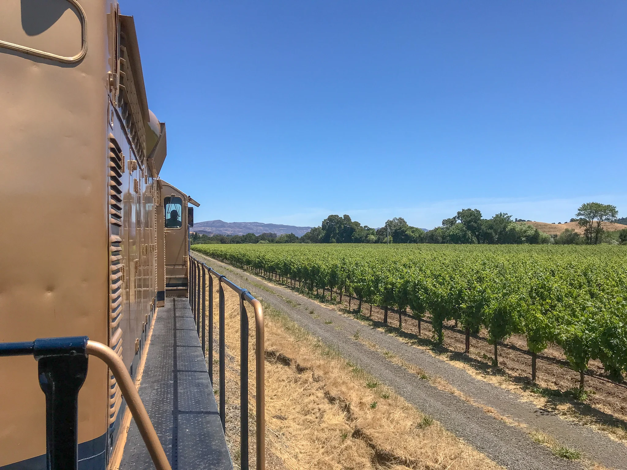 Riding the Napa Valley Wine Train — The Adventure Beckons