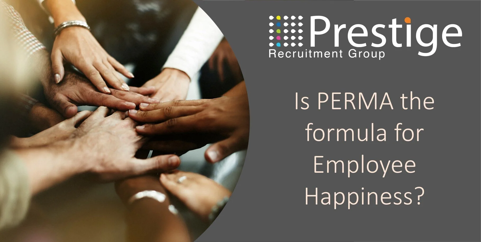 Is PERMA the formula for employee happiness? — Prestige Recruitment Group