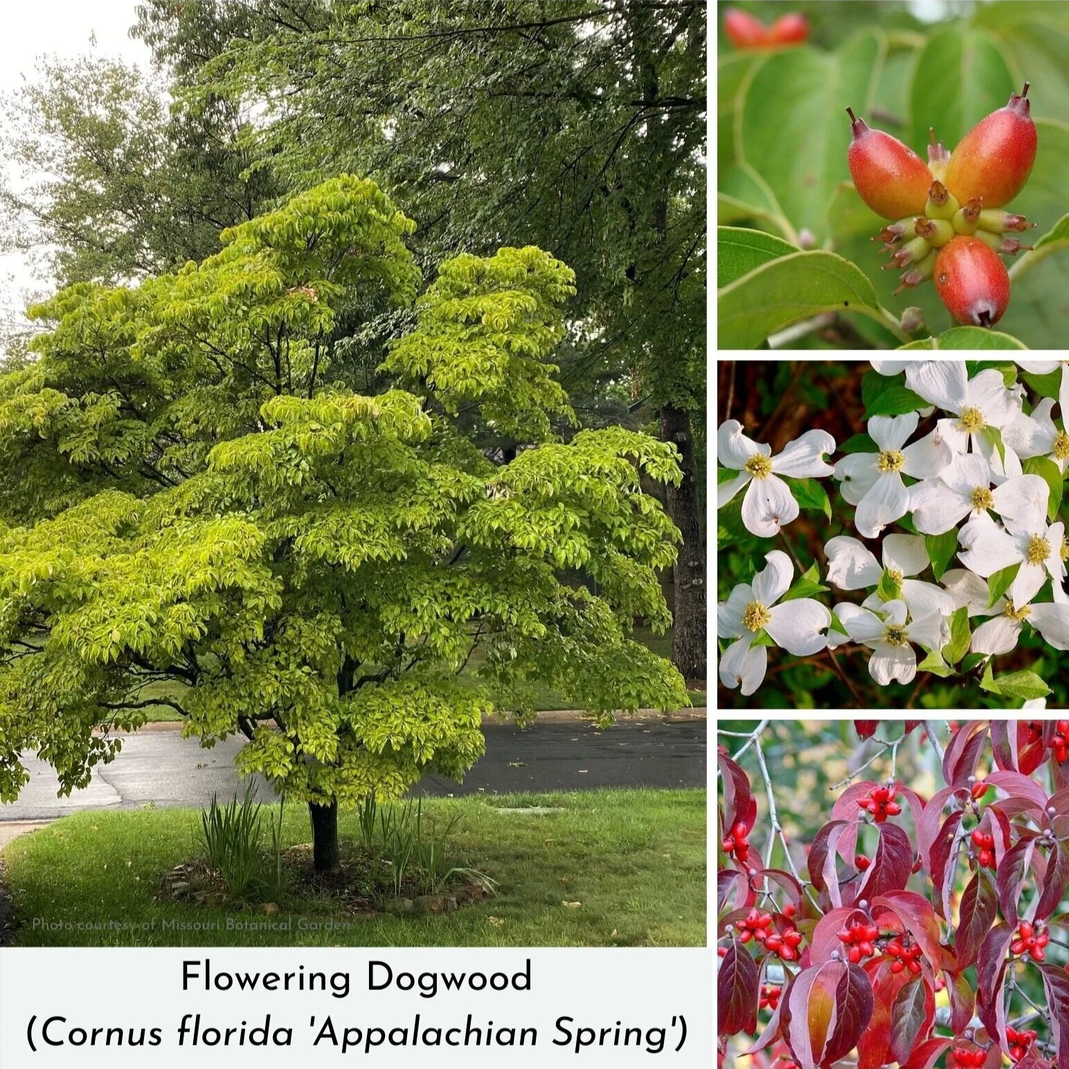 Anne Arundel County Watershed Stewards Academy | Restoring Local ...