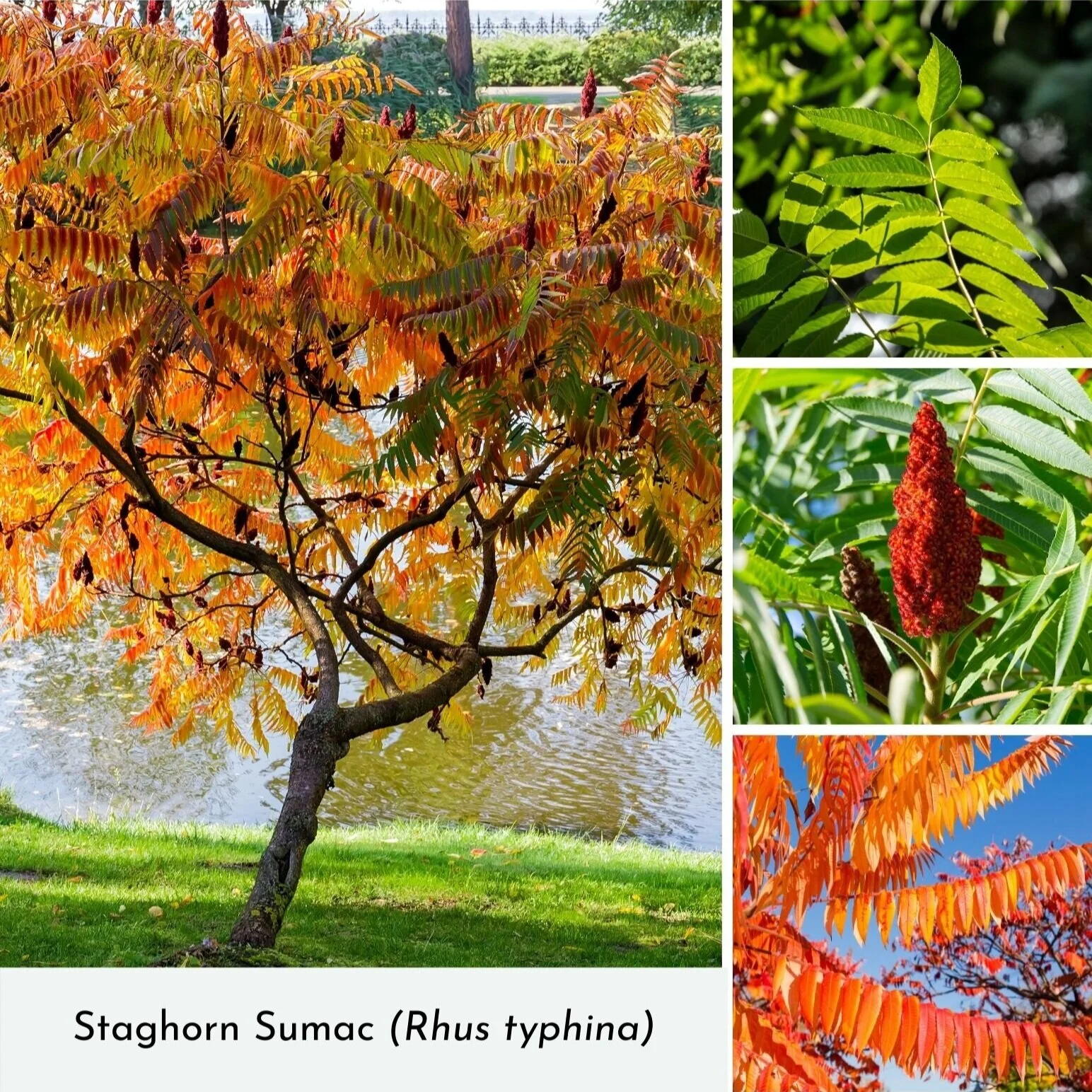 Anne Arundel County Watershed Stewards Academy | Restoring Local ...