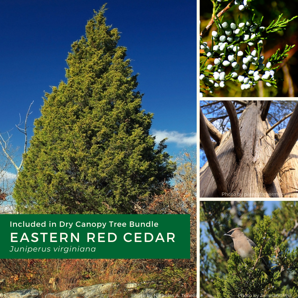 Anne Arundel County Watershed Stewards Academy | Restoring Local ...