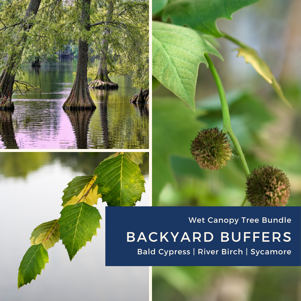 Anne Arundel County Watershed Stewards Academy | Restoring Local ...