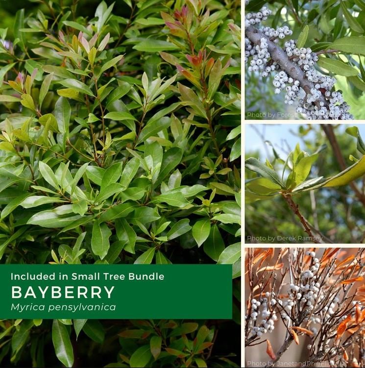 Anne Arundel County Watershed Stewards Academy | Restoring Local ...