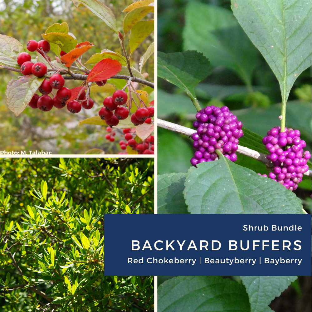 Anne Arundel County Watershed Stewards Academy | Restoring Local ...