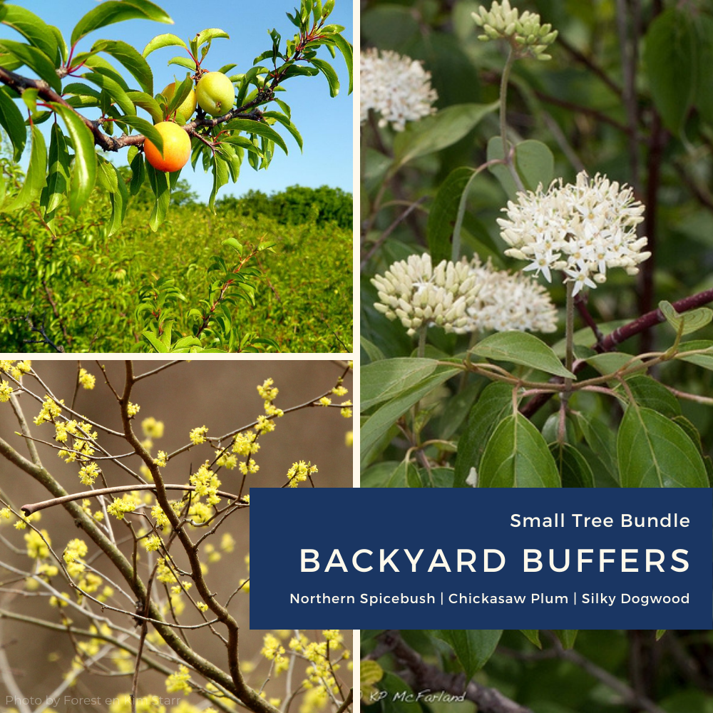 Anne Arundel County Watershed Stewards Academy | Restoring Local ...