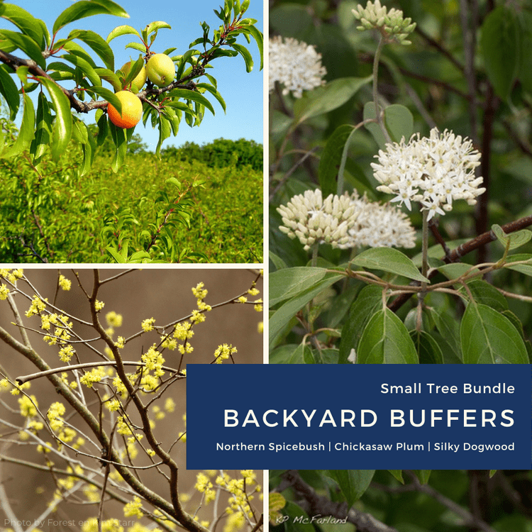 Anne Arundel County Watershed Stewards Academy | Restoring Local ...