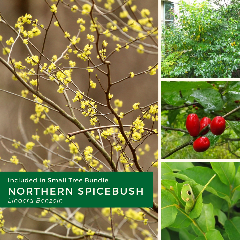 Anne Arundel County Watershed Stewards Academy | Restoring Local ...