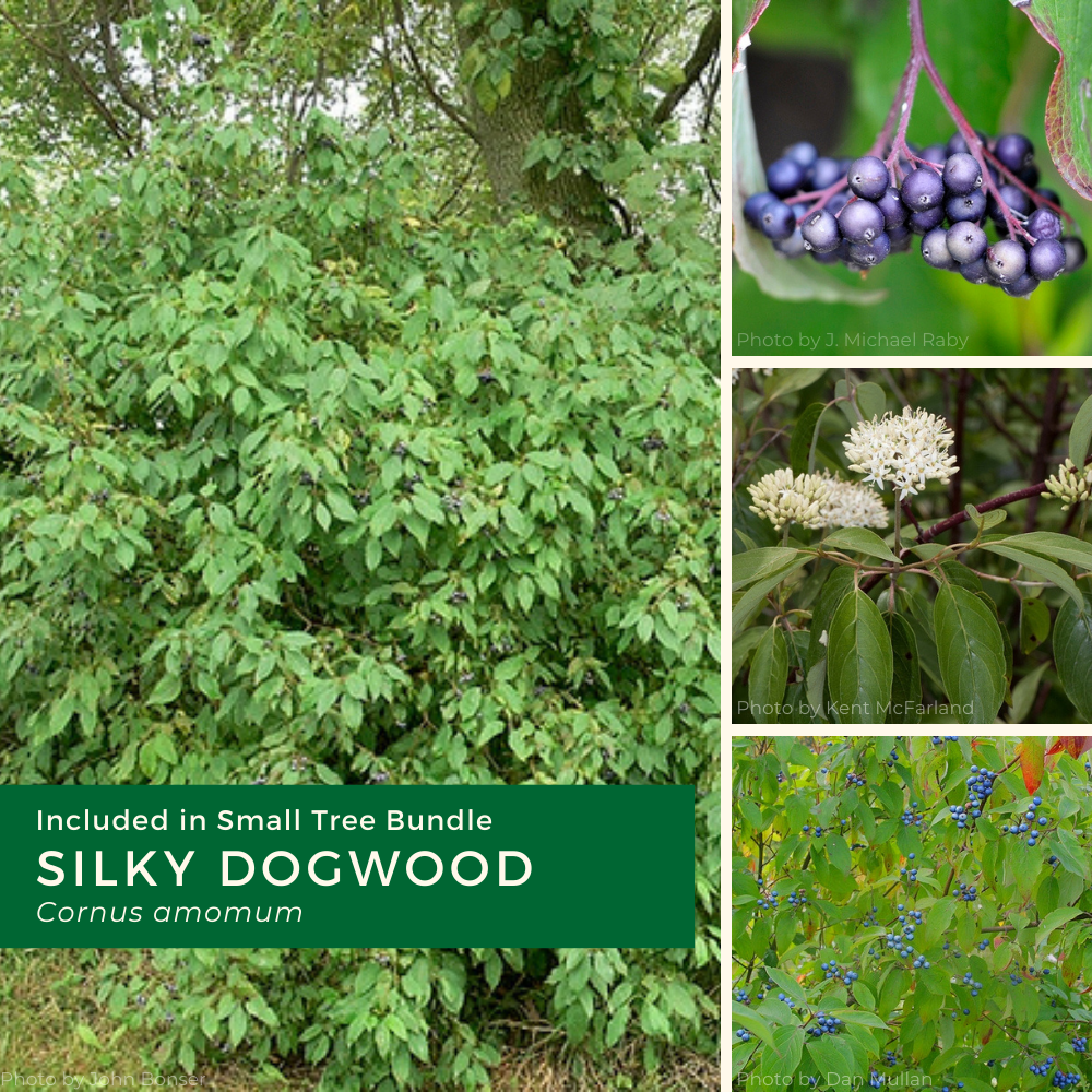 Anne Arundel County Watershed Stewards Academy | Restoring Local ...