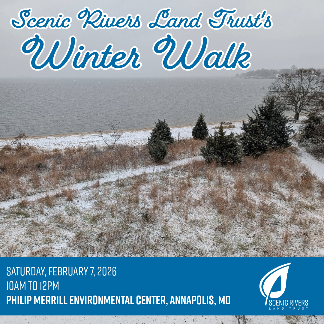 Scenic Rivers Land Trust's Winter WalkAnne Arundel County Watershed ...