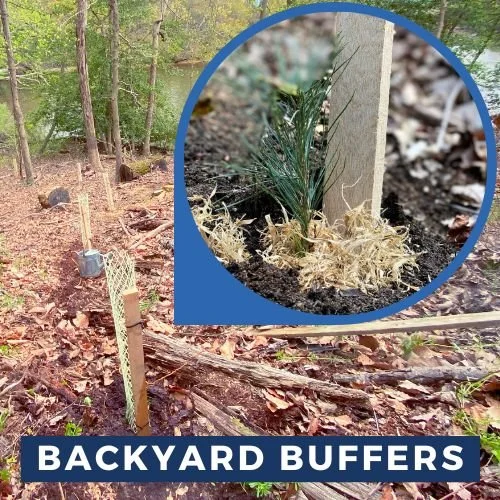 Anne Arundel County Watershed Stewards Academy | Restoring Local ...