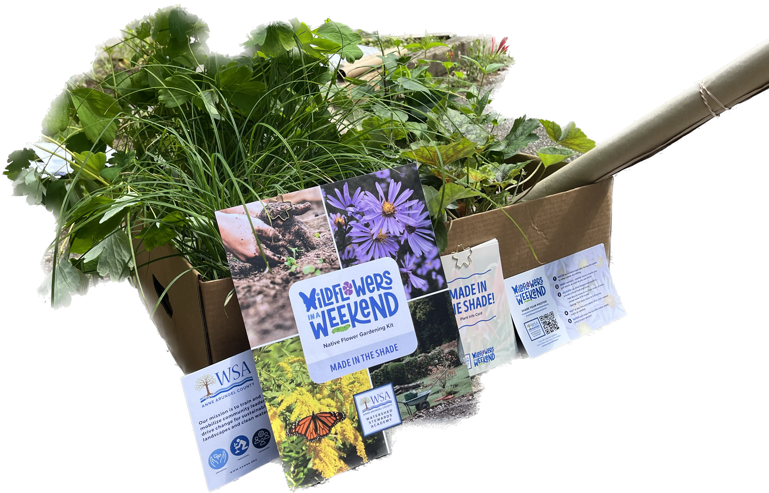 Anne Arundel County Watershed Stewards Academy | Restoring Local ...