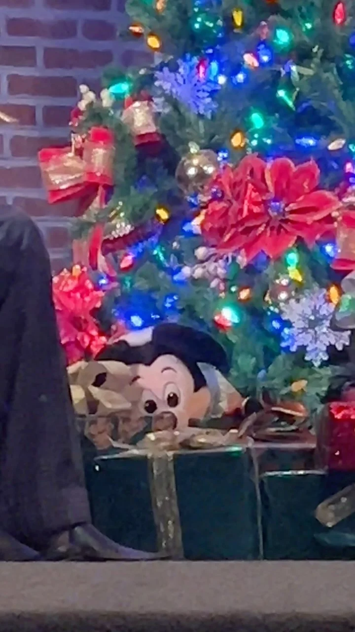 How to Rent a Scooter (ECV) at Disney World and Universal Orlando ...