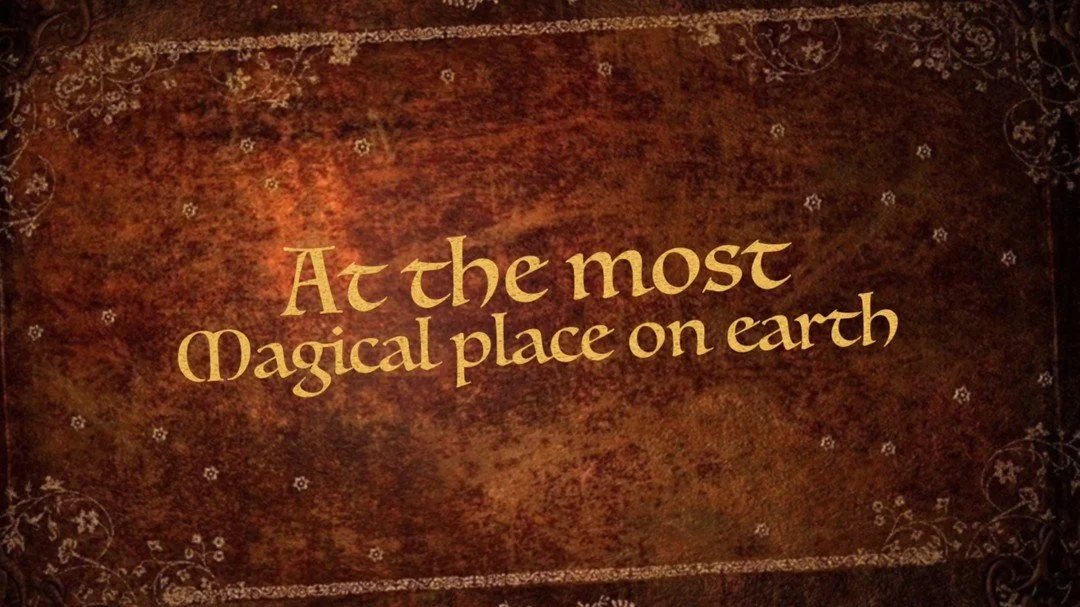 Guide to Disney Travel Protection — OrlandoParksGuy