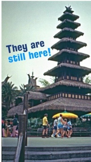 How to Rent a Scooter (ECV) at Disney World and Universal Orlando ...