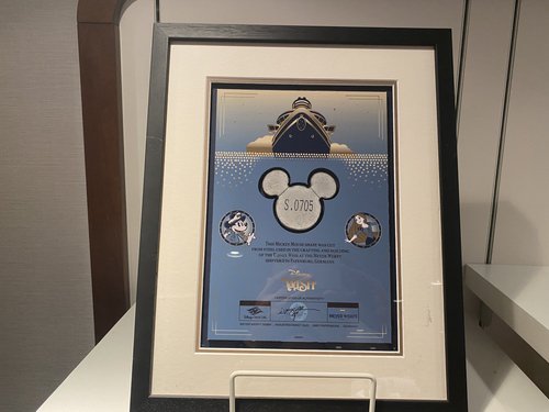 My Top 10 Tips for the Disney Wish — OrlandoParksGuy