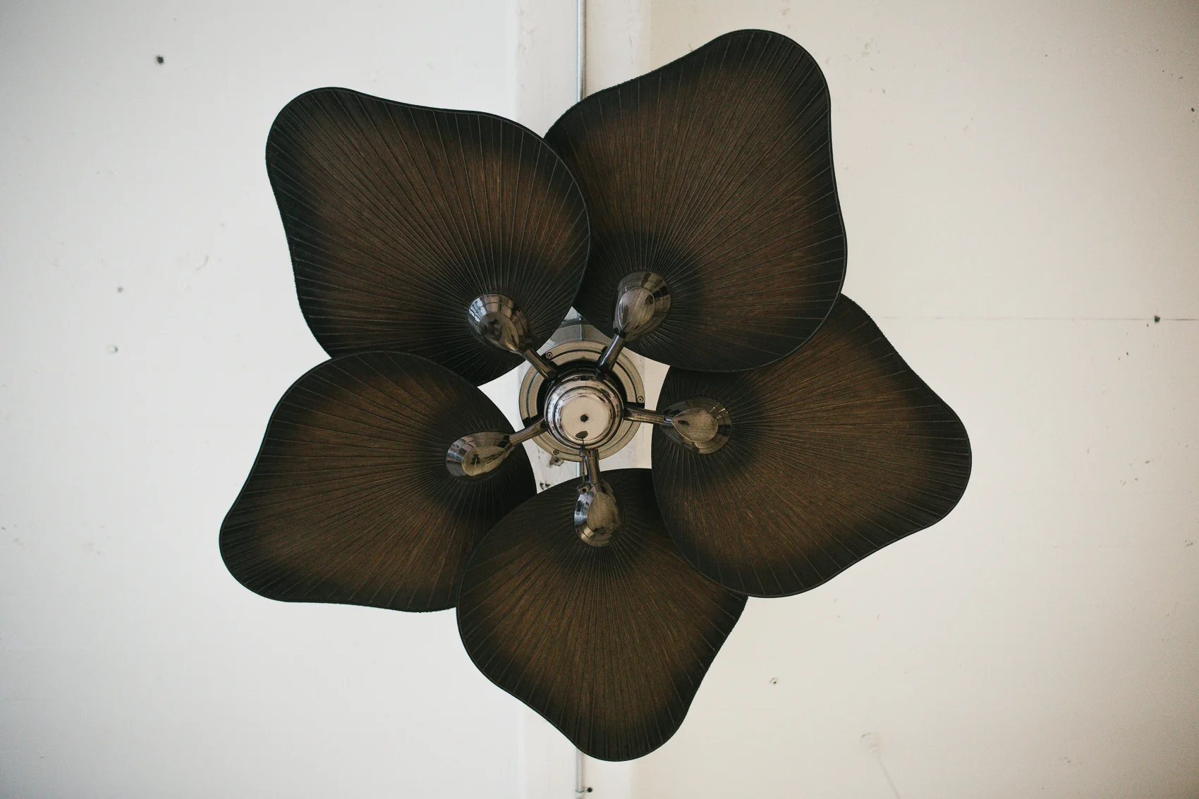 Chelli Look — practicestudies