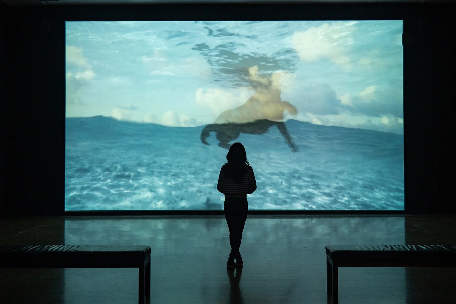 Endless Numbered Days — Ronna Nemitz
