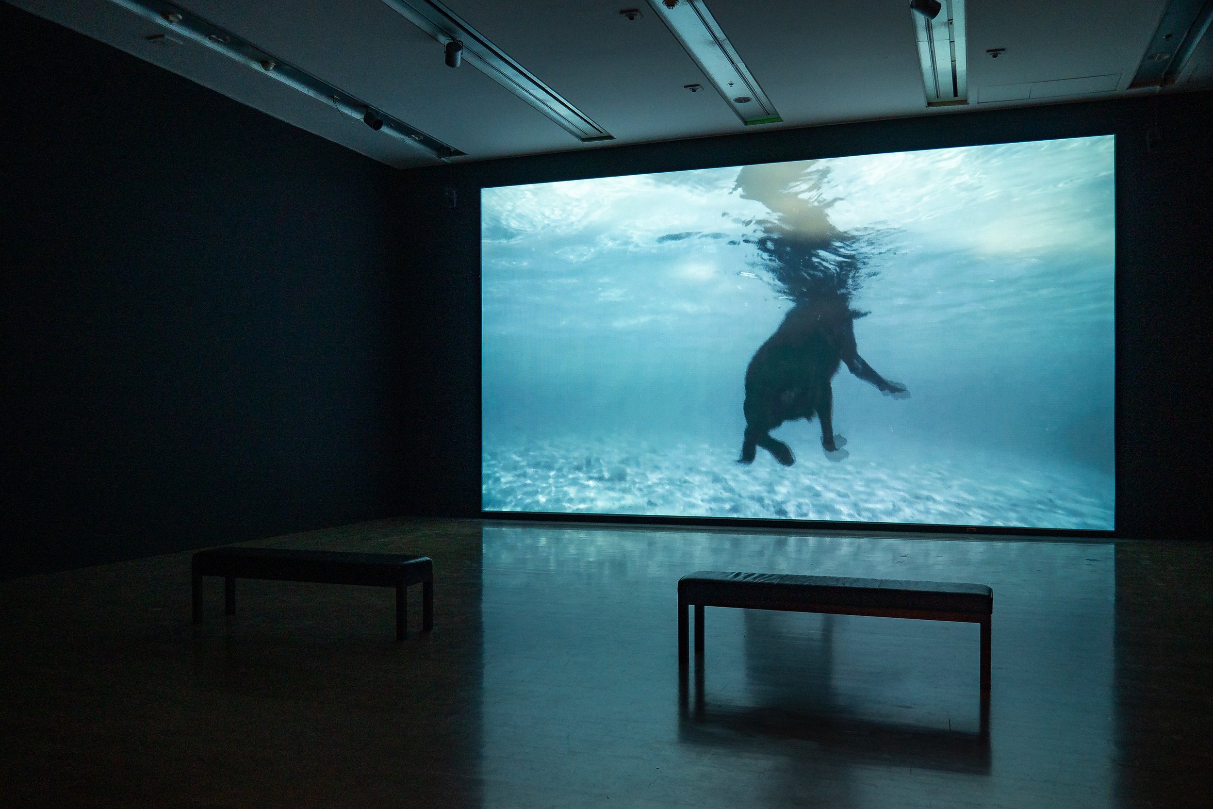 Endless Numbered Days — Ronna Nemitz