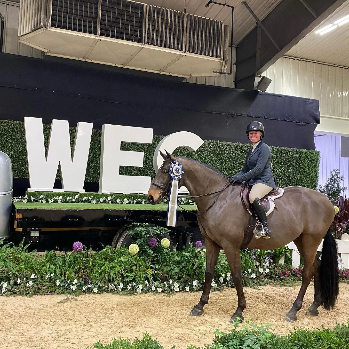 Cloud Nine Farm, Midway KY, riding lessons and boarding
