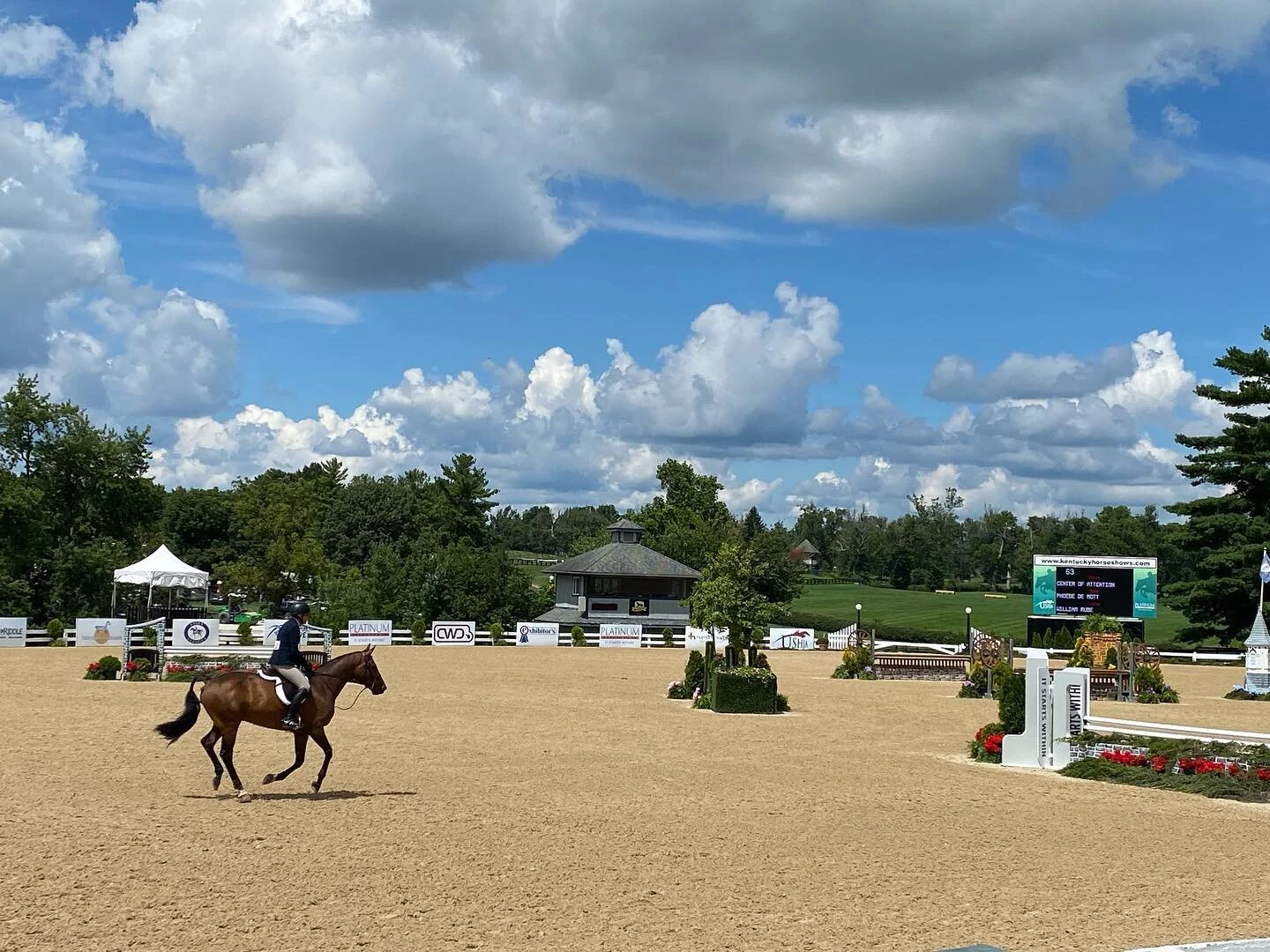 Cloud Nine Farm, Midway KY, riding lessons and boarding