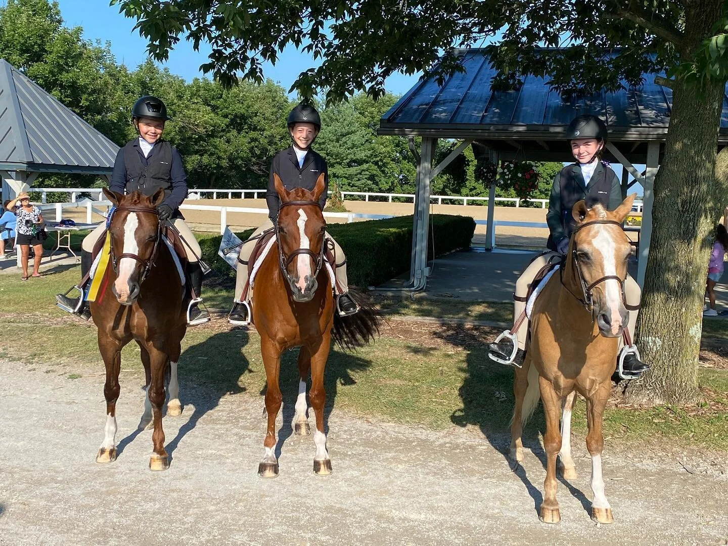 Cloud Nine Farm, Midway KY, riding lessons and boarding
