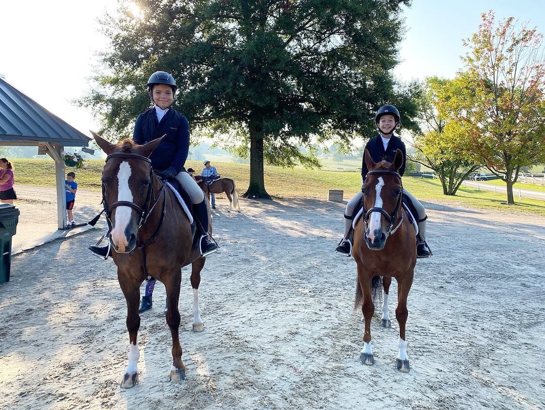 Cloud Nine Farm, Midway KY, riding lessons and boarding