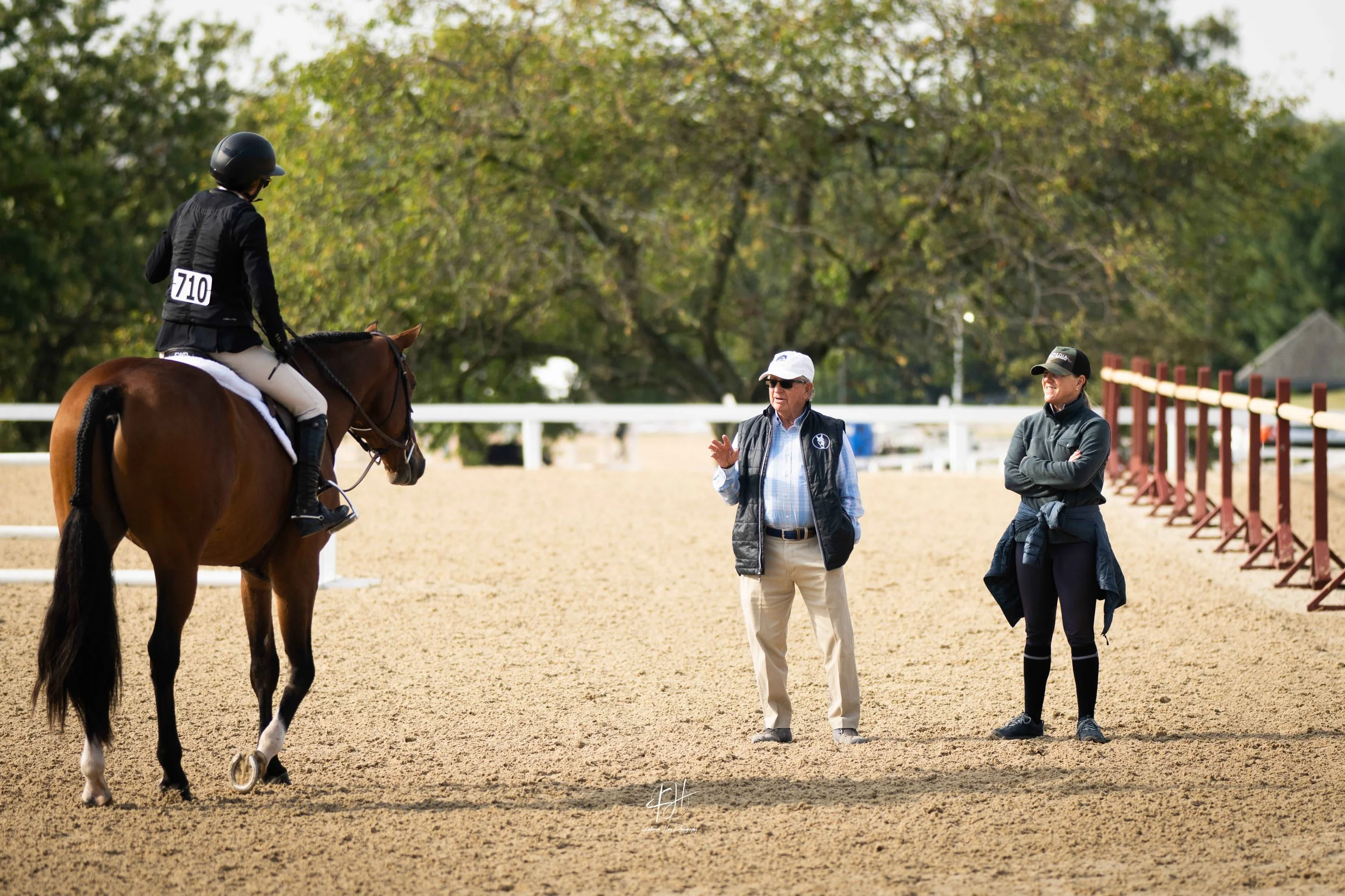 riding lessons and boarding horses