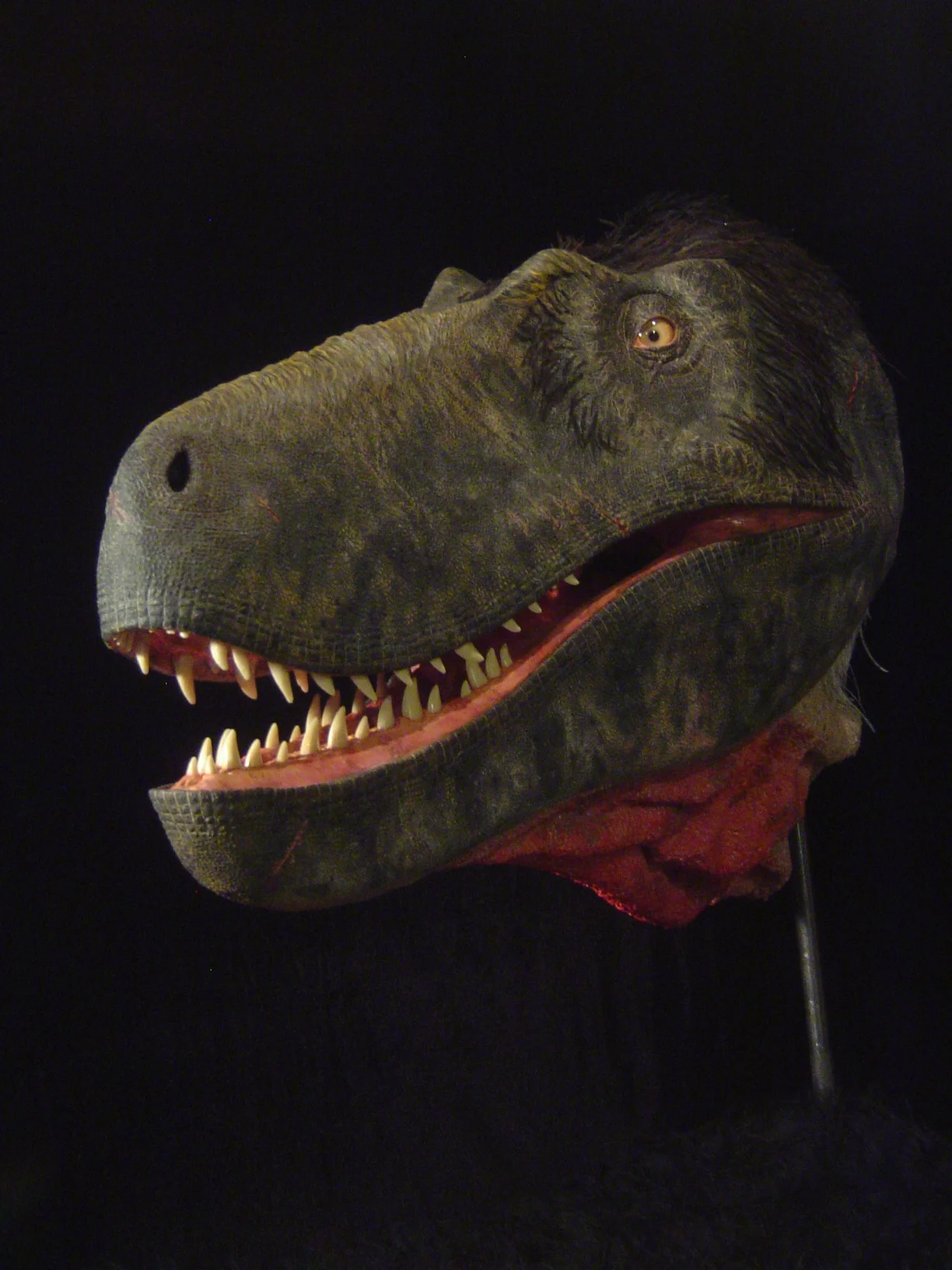 Dryptosaurus — Tyler Keillor