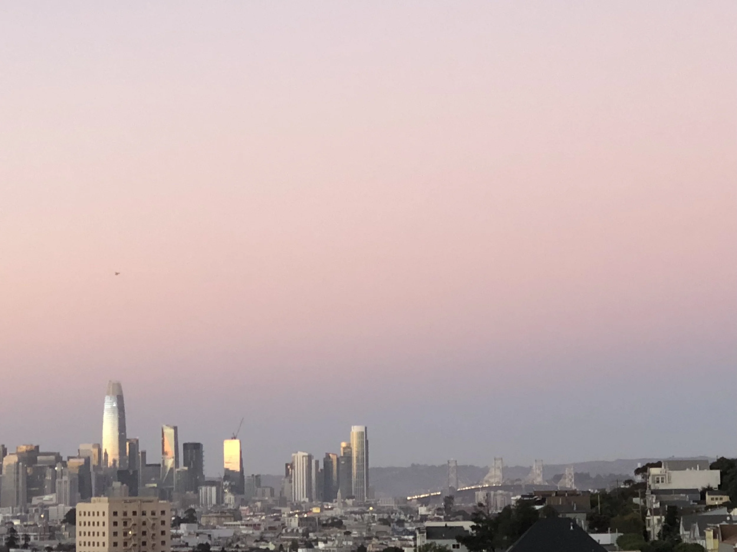 News — SAANA BAKER DESIGN