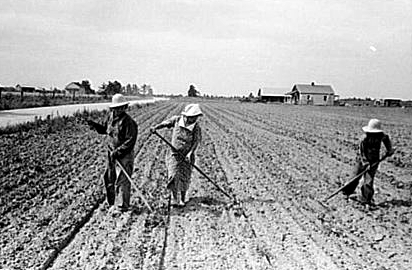 Sharecropping Pictures