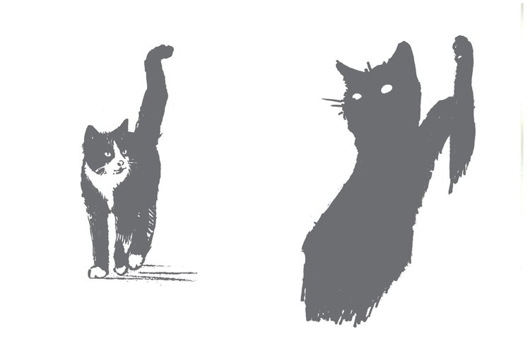 Cat Victory Dance