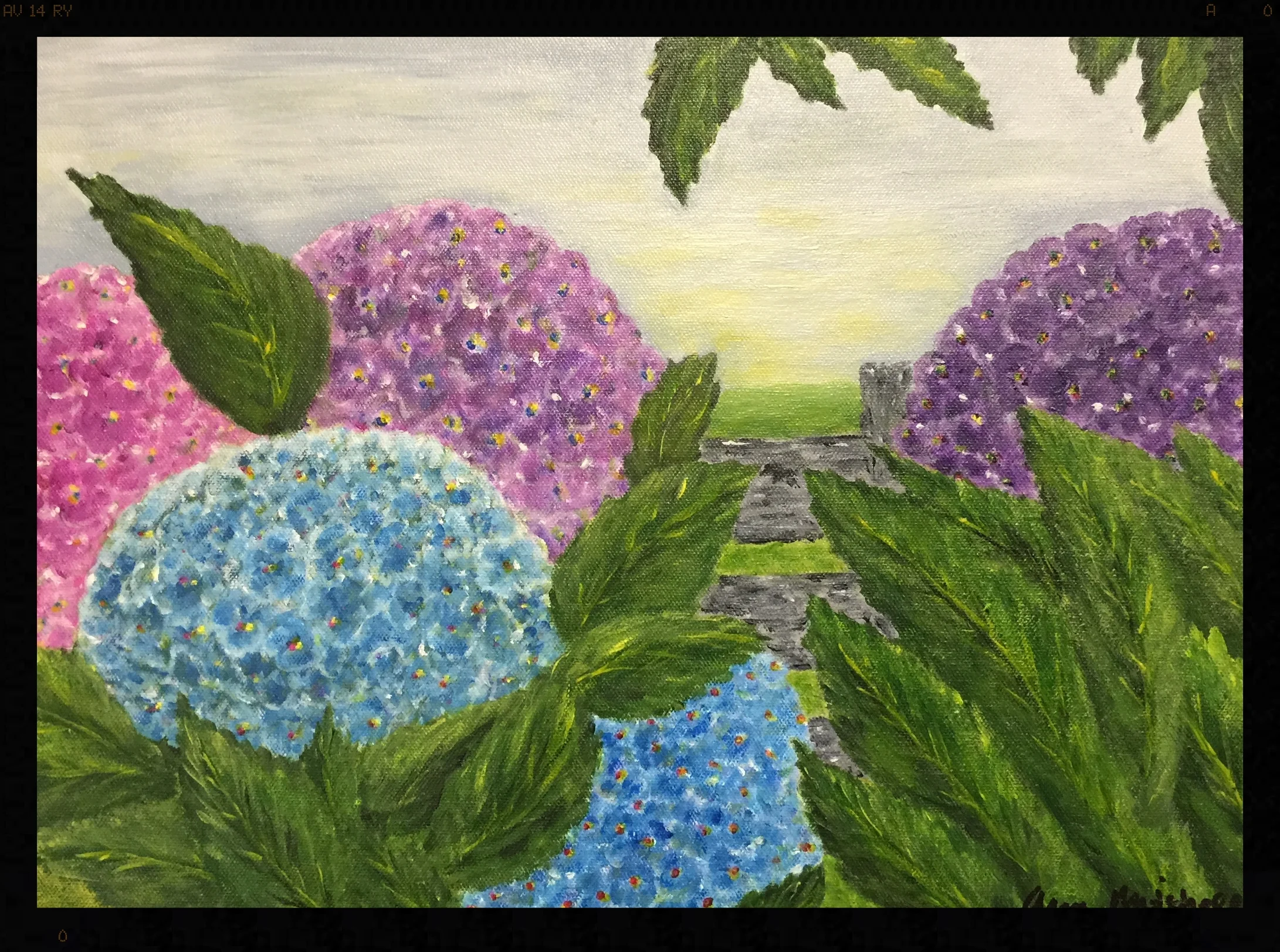 Ann Mitchell ArtAnn Mitchell Art Colors on Canvas