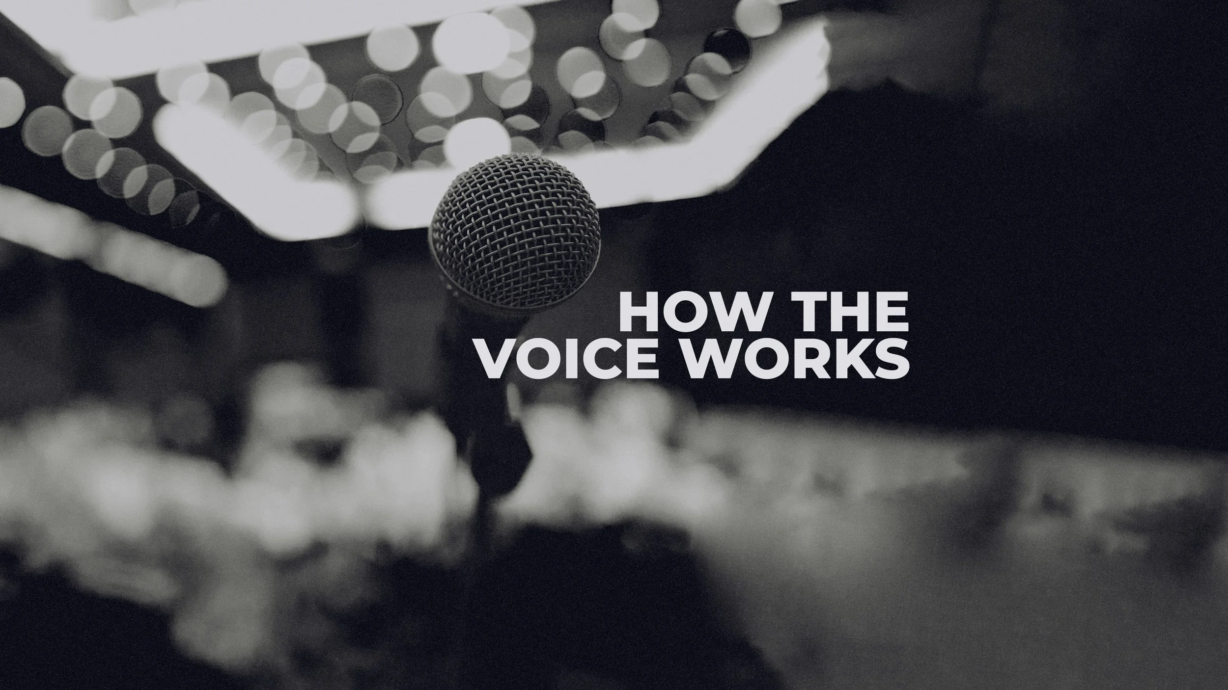 New Page - Darcy edits — Virtual Voice Coach