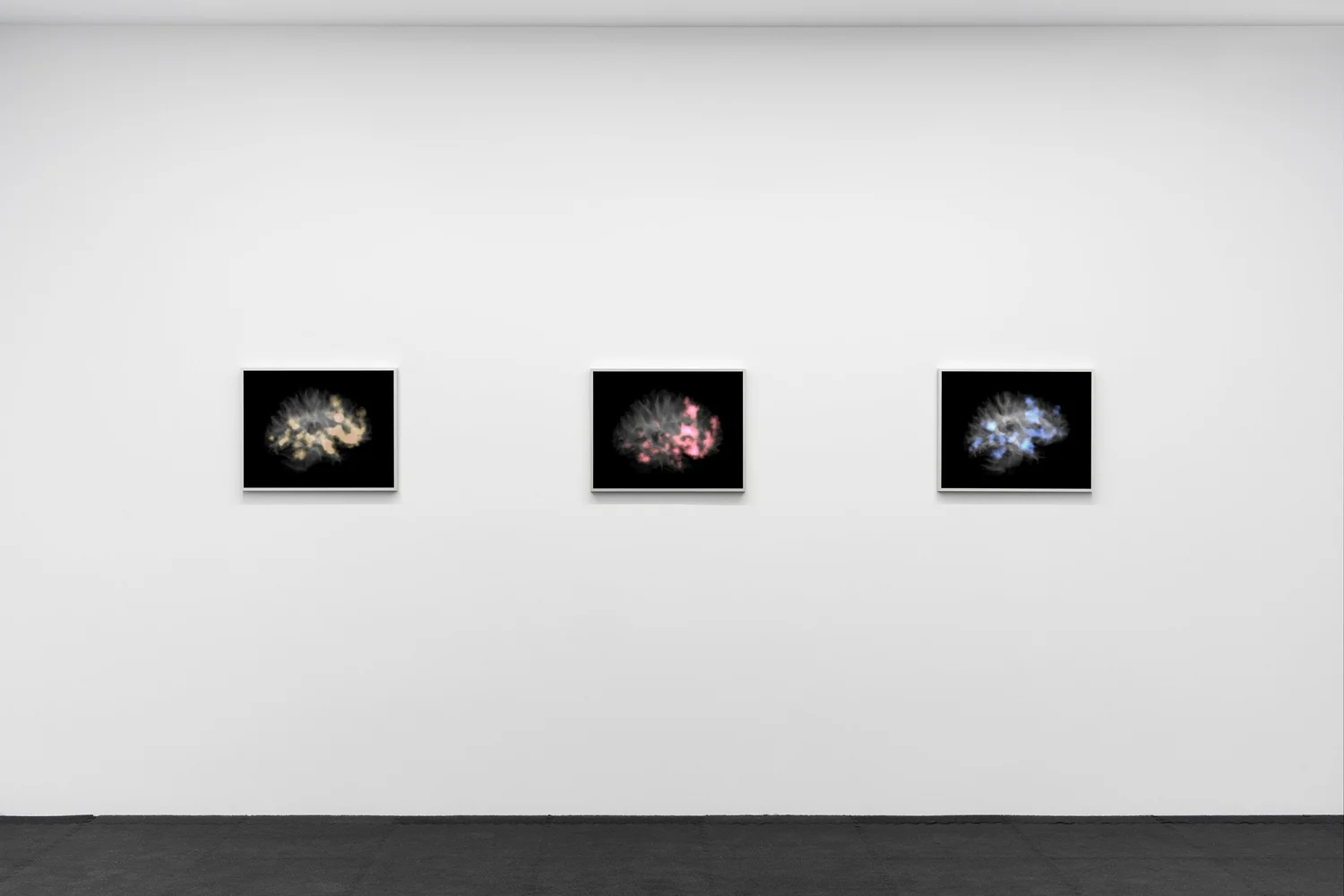 Daily Journal Autre Magazine