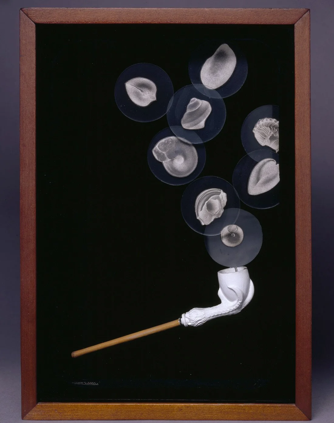 Catherine Corman's "Lost Explorer" Is A Prosaic Observation of Beauty ...