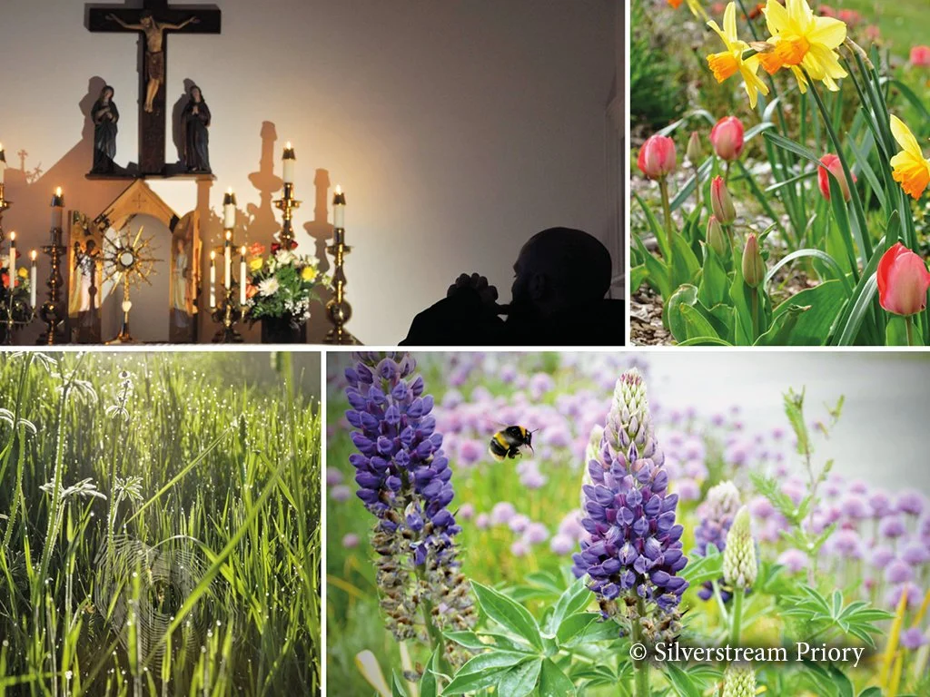 Visit Us — Silverstream Priory