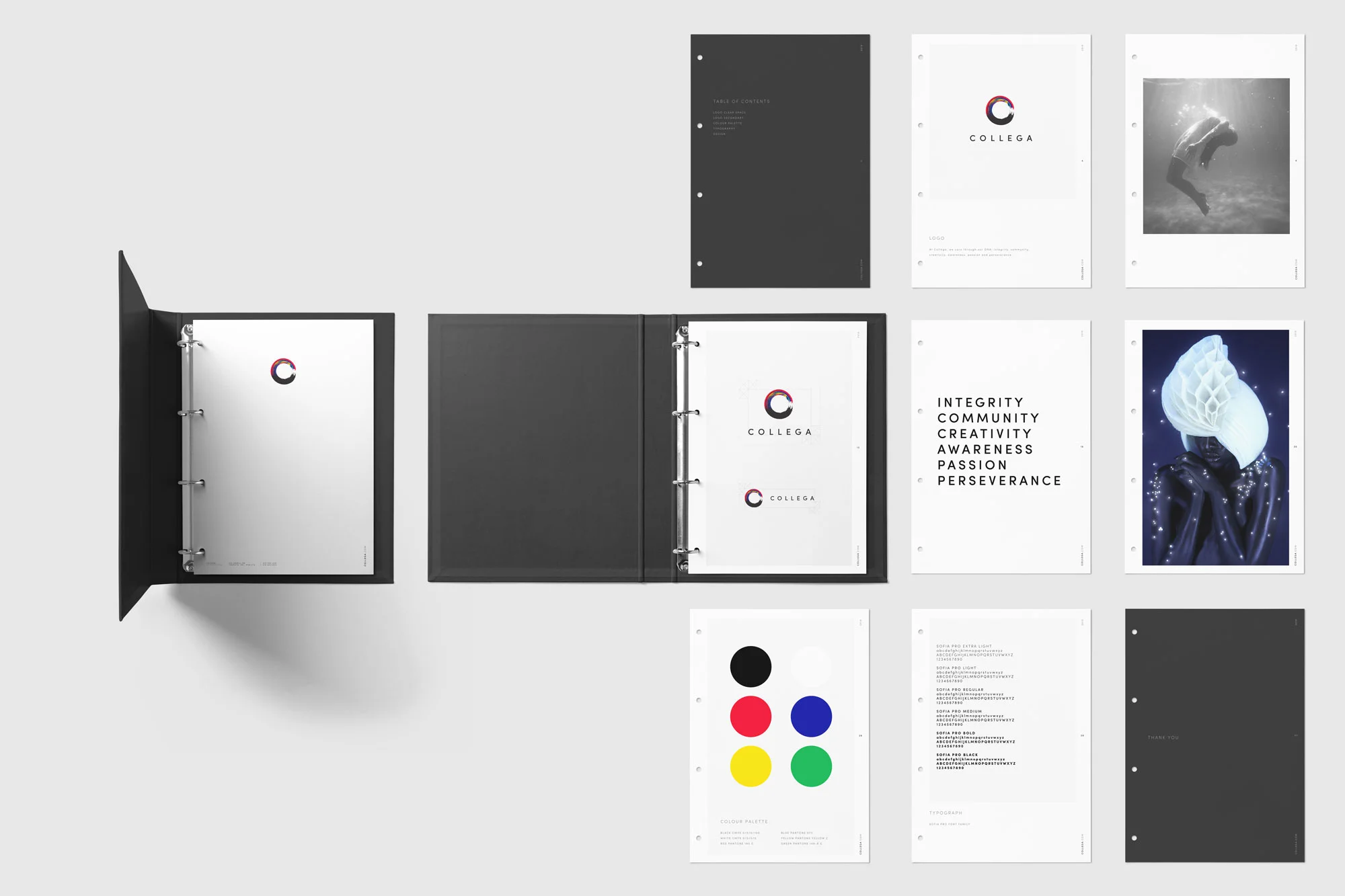 FREDICUS — COLLEGA