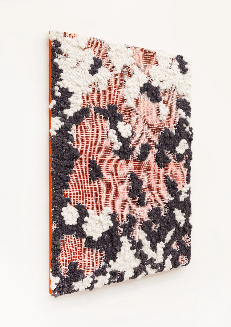 Pareidolia — MIMI JUNG