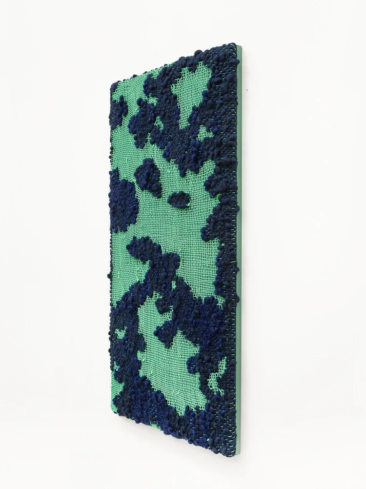 Pareidolia — MIMI JUNG