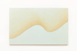 Shield — MIMI JUNG