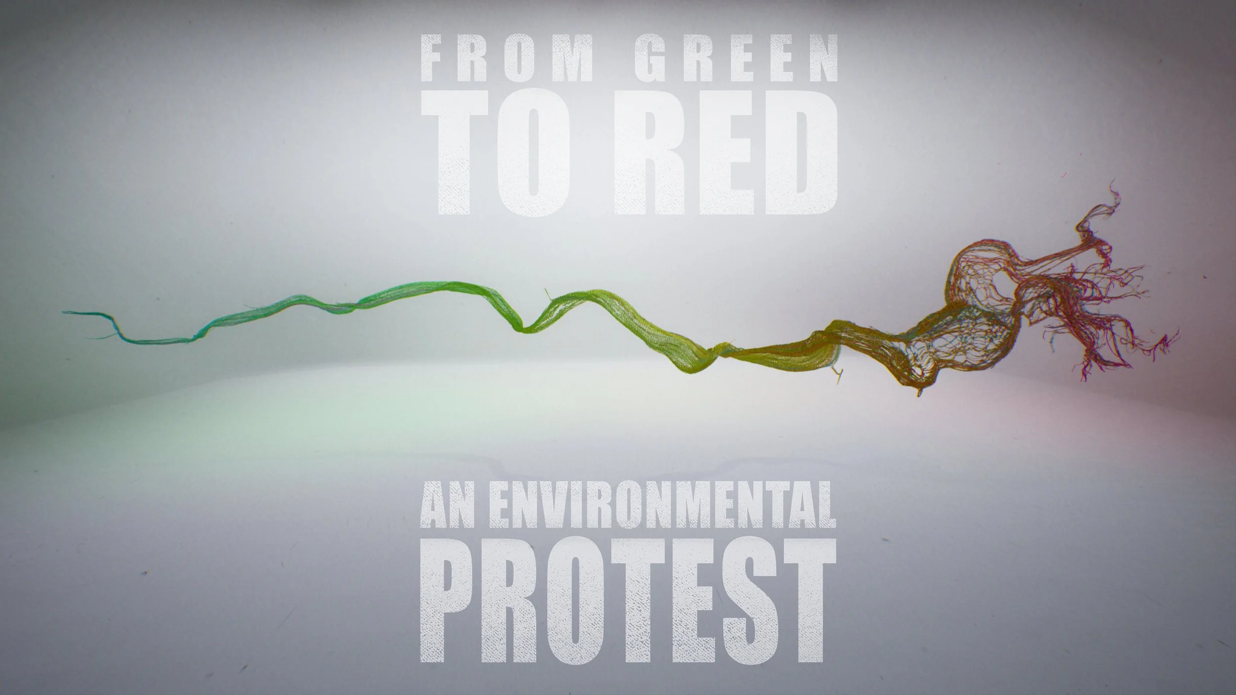 Environmental Protest Art