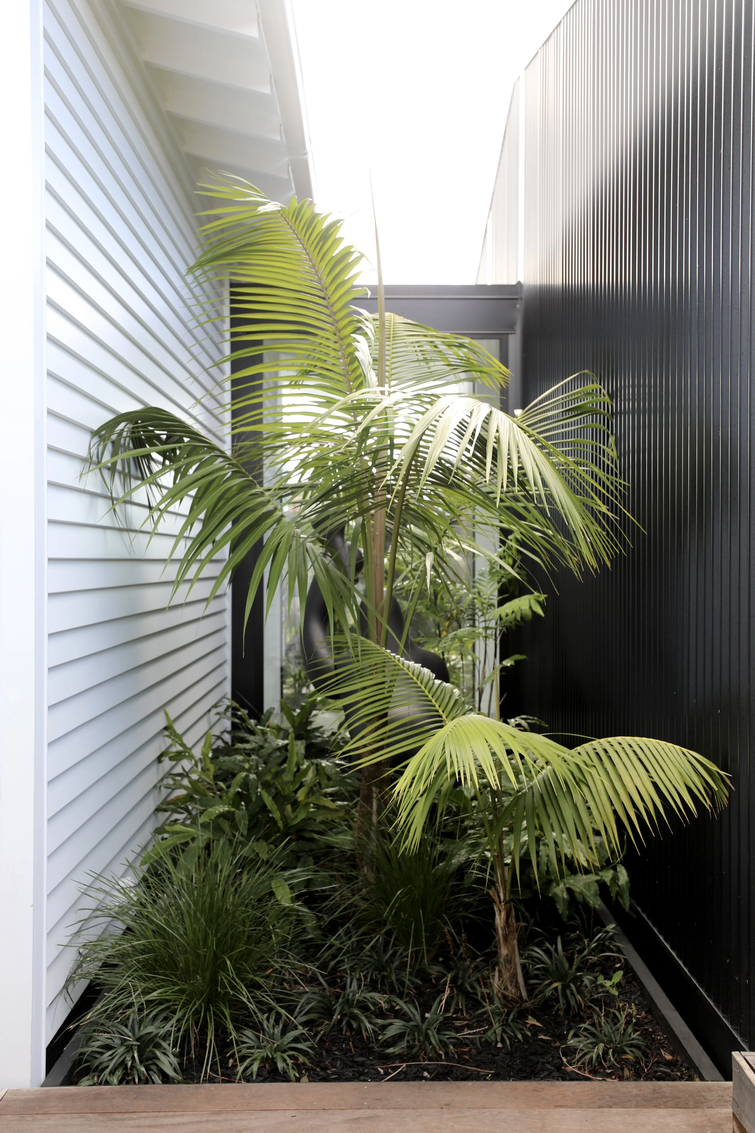Point Chevalier House — Macfie Architecture