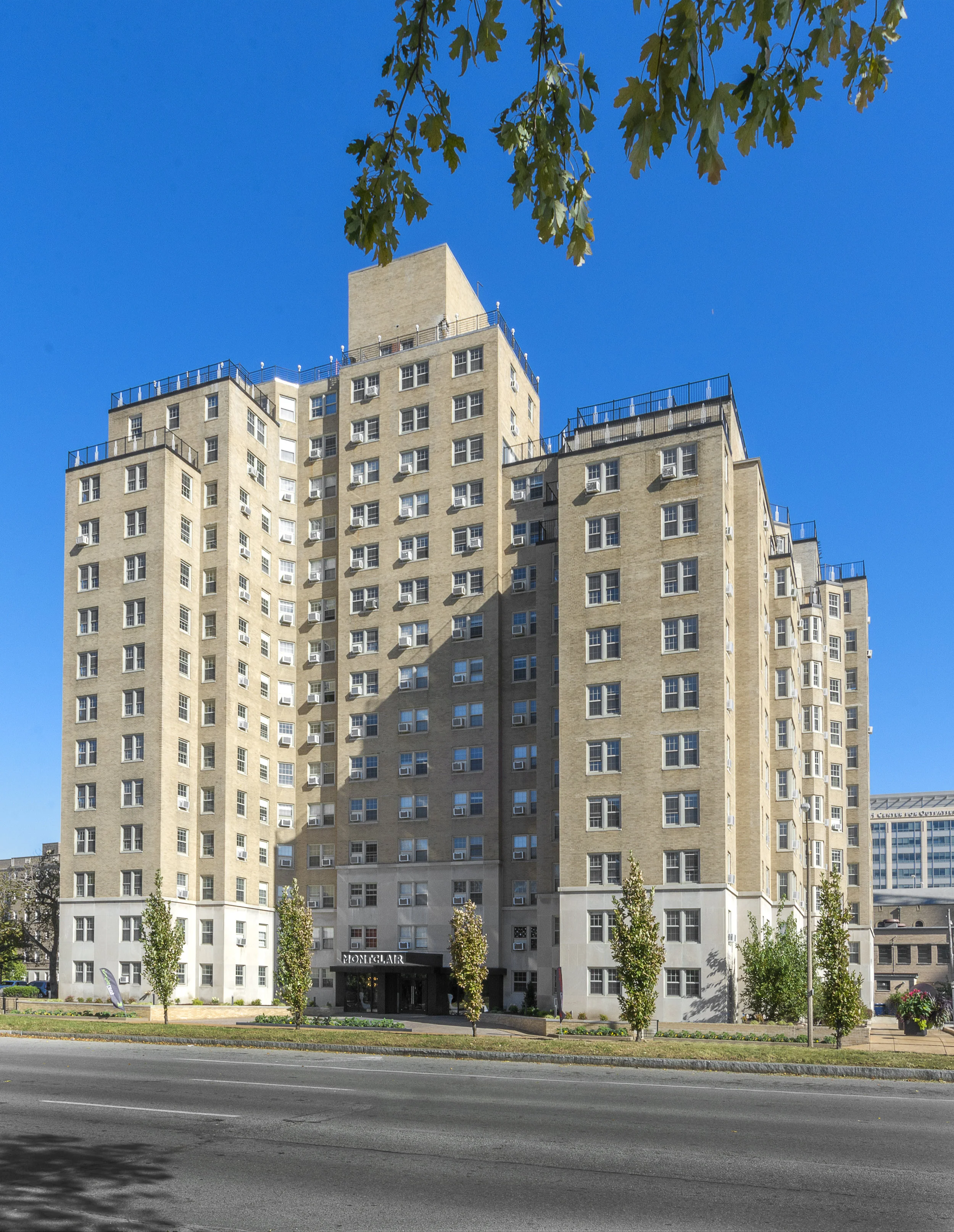 Montclair on the Park — Ellipsis Architecture