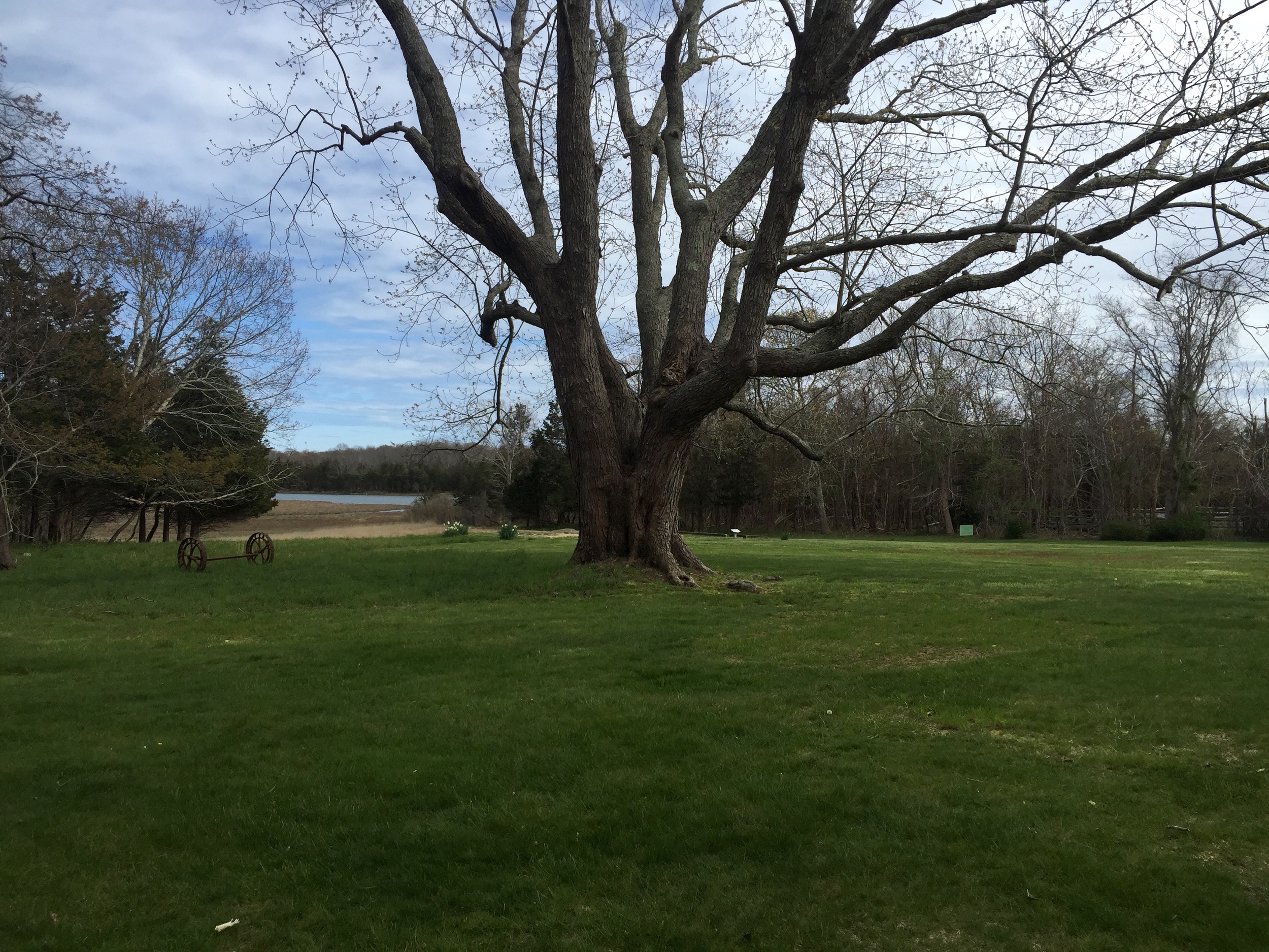Visiting Jackson Pollock's House — Nikki SF