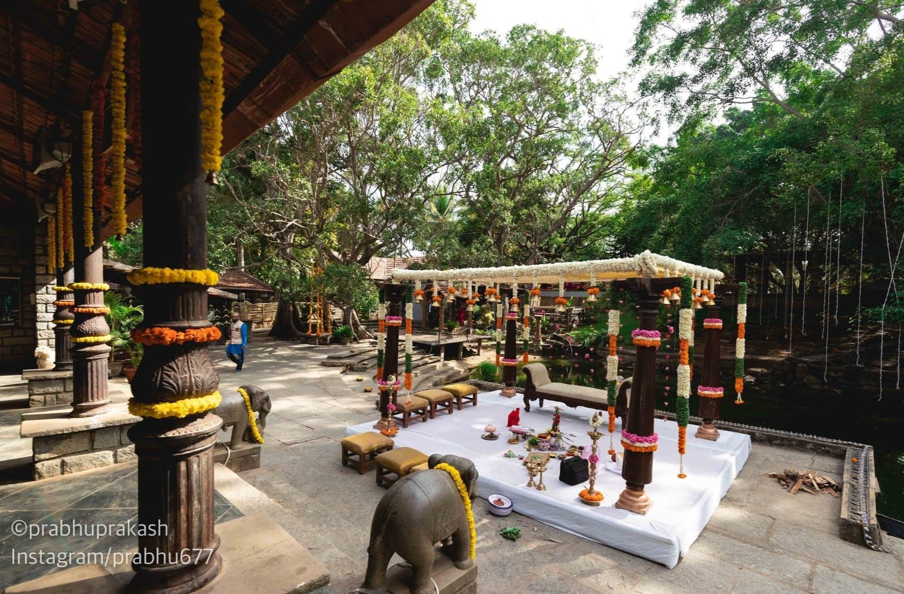 Wedding Tree Decor: Make Trees Your Decor Buddy This Wedding Season ...