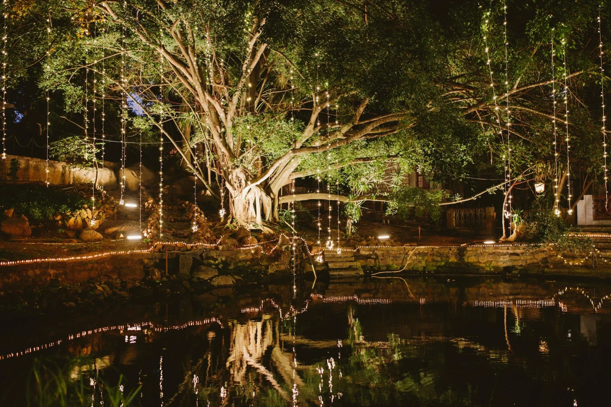 Wedding Tree Decor: Make Trees Your Decor Buddy This Wedding Season ...