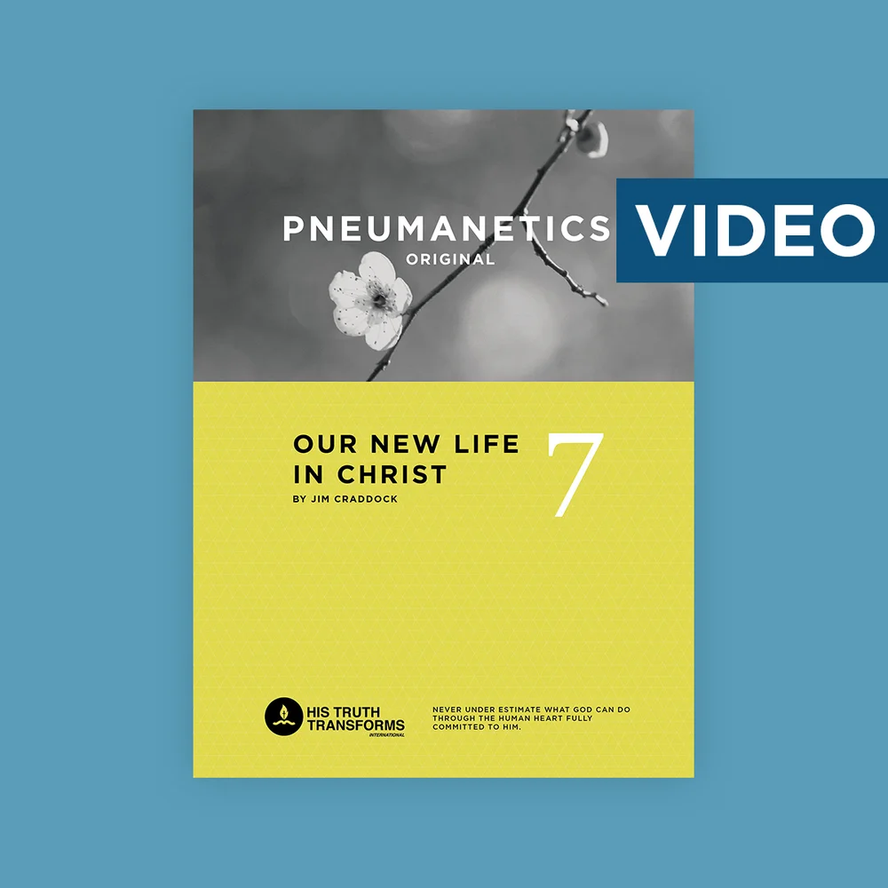 New Life In Christ Book