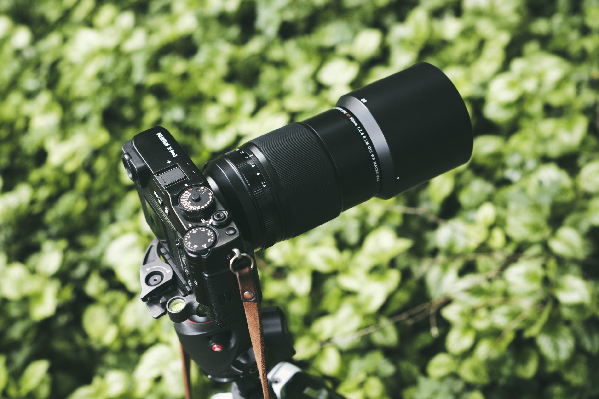 Fujifilm XF 80mm f/2.8 R LM OIS WR Macro Review | 5050 Travelog
